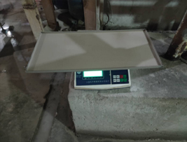 Cararra Look Tile ｜Naturalis｜Cava 60x60cm - One-Stop Shop Tile Supplier ...